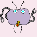 Músculo vasto lateral (origen, inserción, inervación, acción)